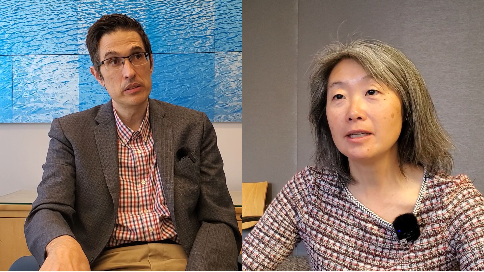 Japan experts: Japan’s defense upgrades are here to stay-News-Radio ...