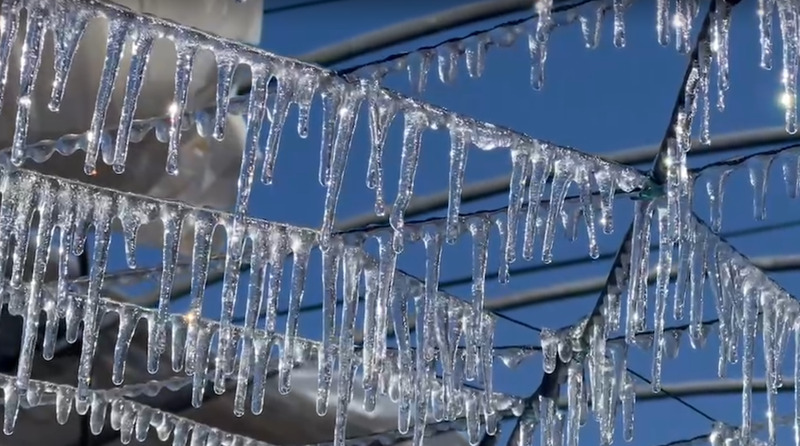 WATCH: Beautiful frozen plum and cherry blossoms form at Wuling Farm ...